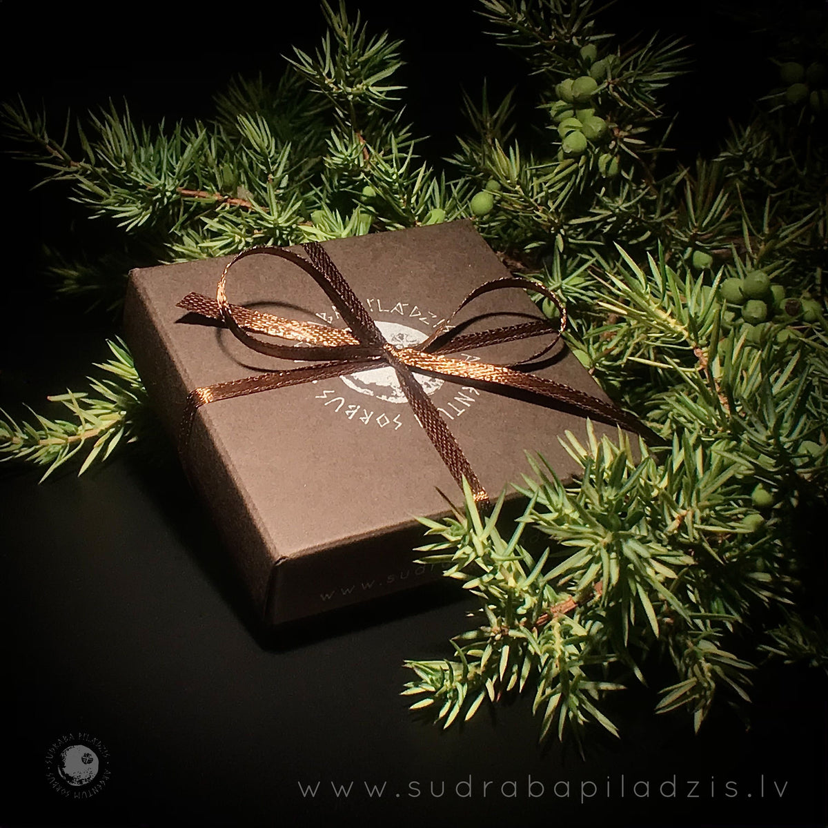 PAPARDES – Sudraba pīlādzis